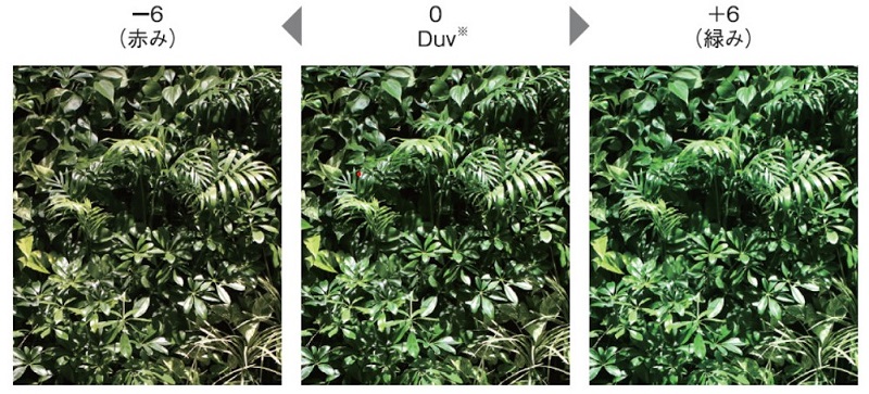 室内のバイオフィリックデザインで欠かせない光のポイント3つ | 光の知識 | ヒカリイク